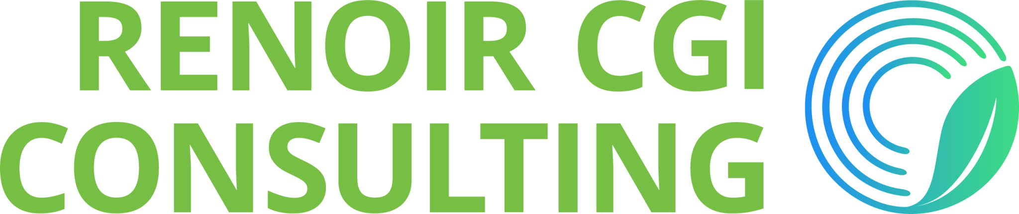 Renoir Consulting | Global Management Consulting & Implementation