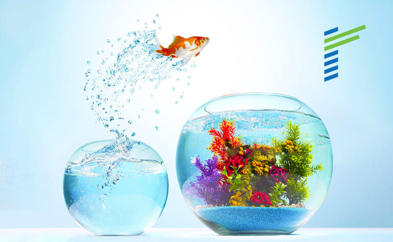 Effective change management: Questions to ask | Renoir Consulting