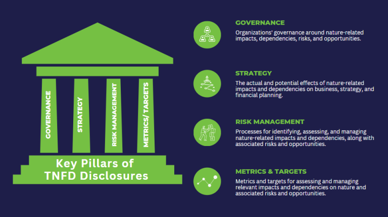 Part II. TNFD for Financial Institutions | Renoir Consulting